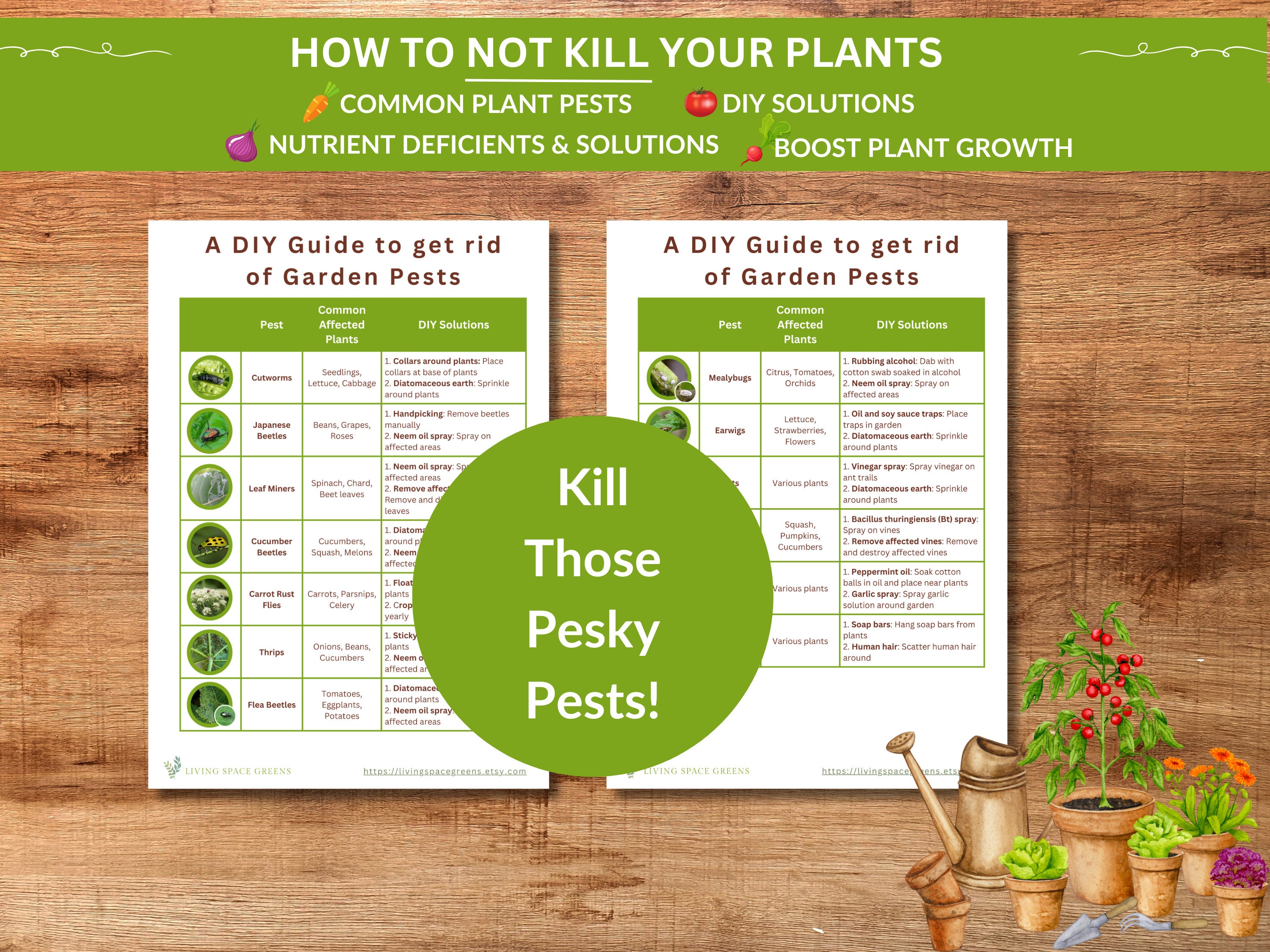 Plant Disease and Pest Identification Plant Care Vegetable Garden DIY ...