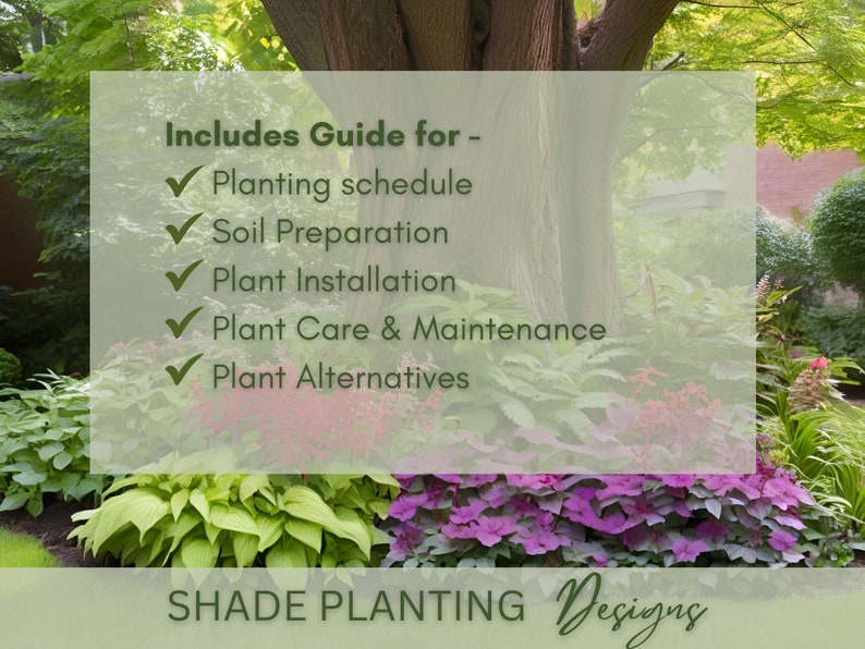 Shade Garden Design Plan: Zones 4-8, Pre-planned Landscape (digital ...