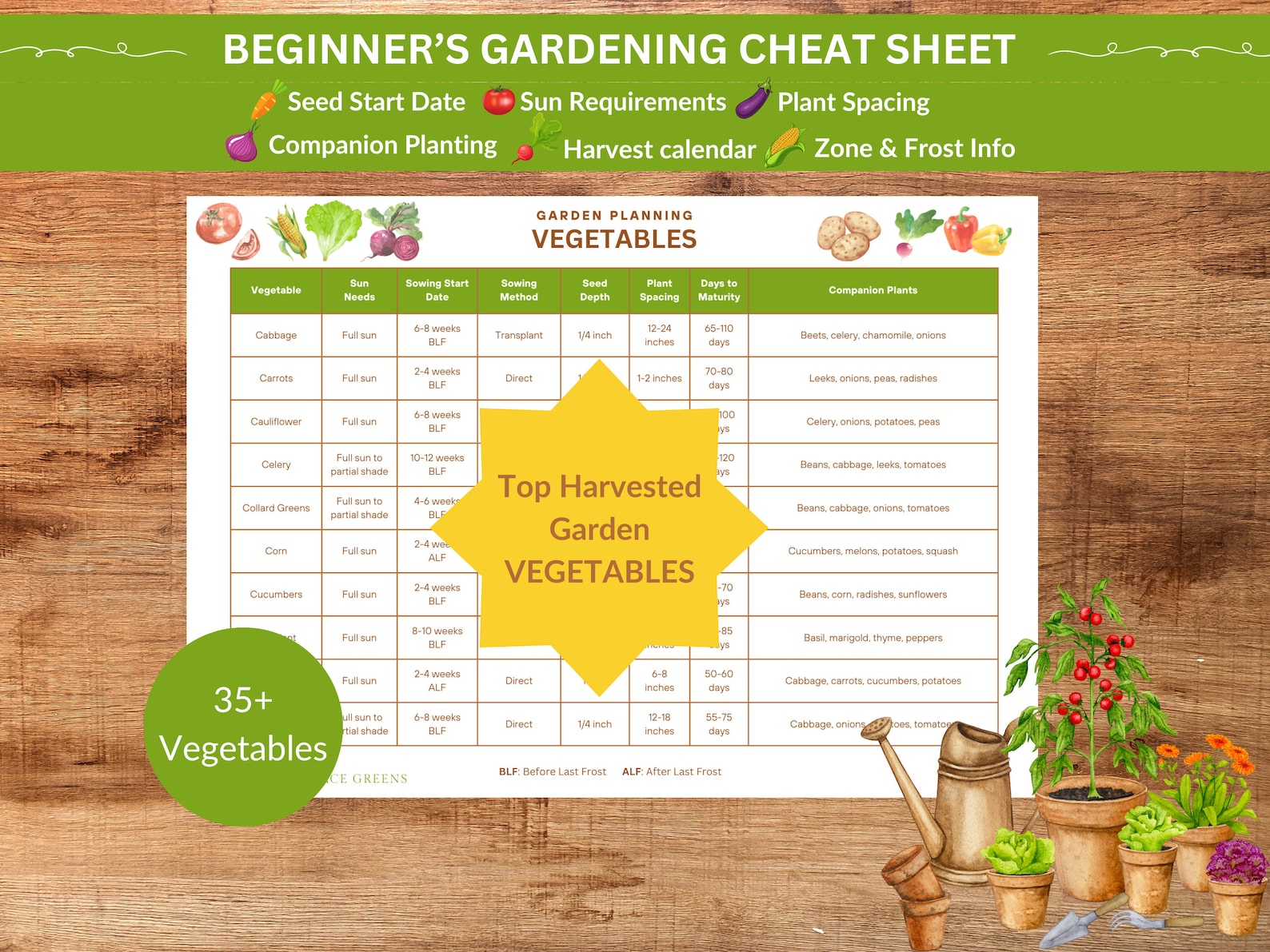 Vegetable Garden Seed Starting Cheat Sheet: Beginner's Guide (PDF) - Etsy