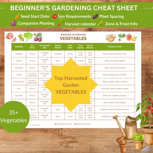 Vegetable Garden Seed Starting Cheat Sheet: Beginner's Guide (PDF) - Etsy