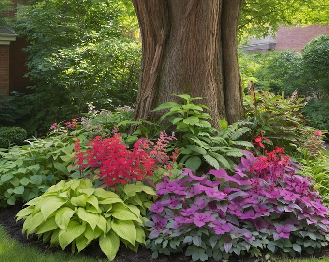 Landscape Plan,shade Planting Scheme, Garden Plan Under Shade Tree ...