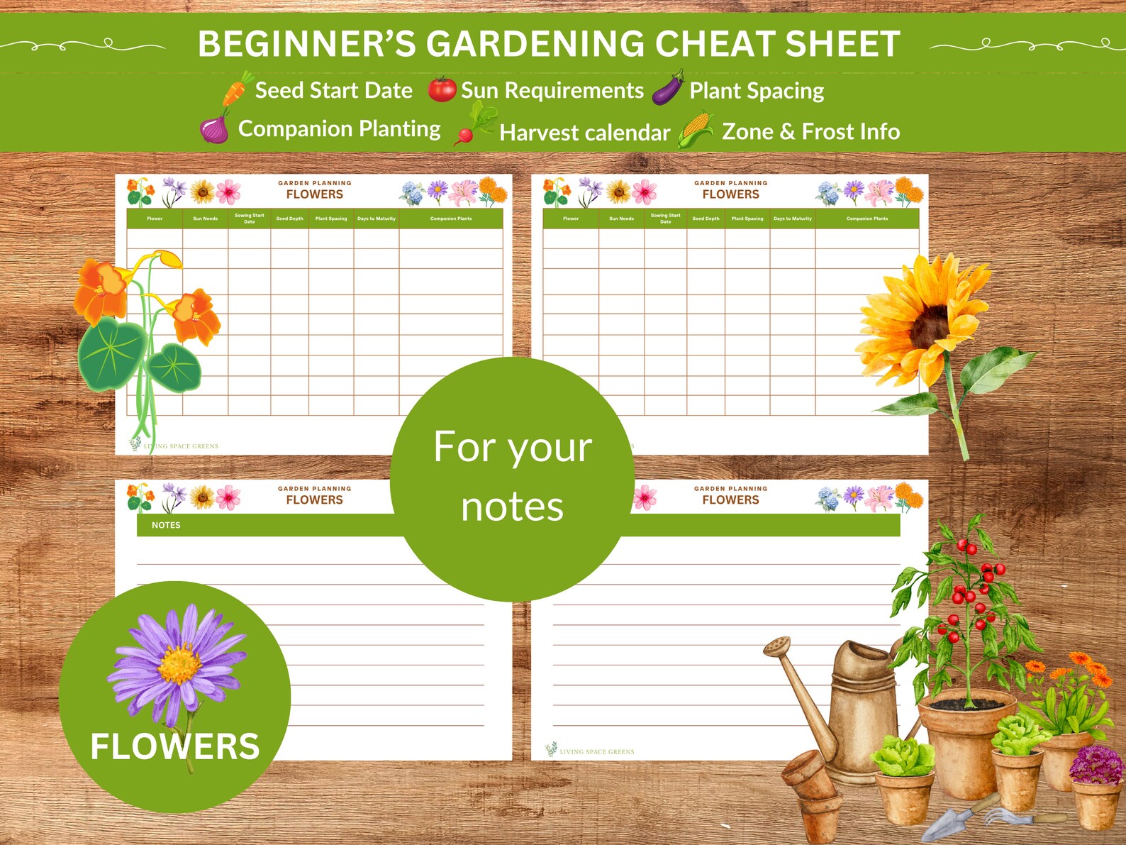 Flower Garden Seed Starting Cheat Sheet: Beginner's Guide (PDF) - Etsy