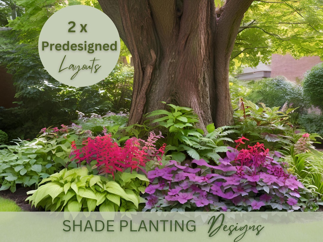 Shade Garden Design Plan: Zones 5-9, Curb Appeal Modern Landscape ...