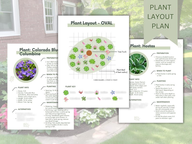 Shade Planting Landscape Design | Preplanned Garden | Shady Side Garden ...