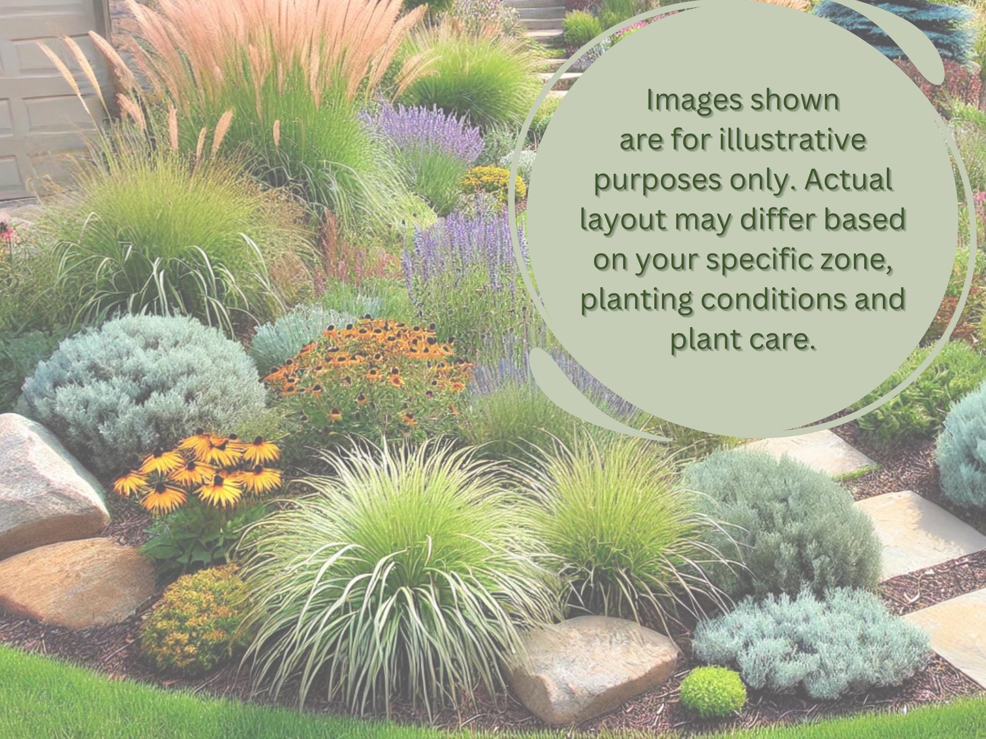 Front Yard Landscaping Design Plans Curbappeal Premade Zone 4-9 Full ...