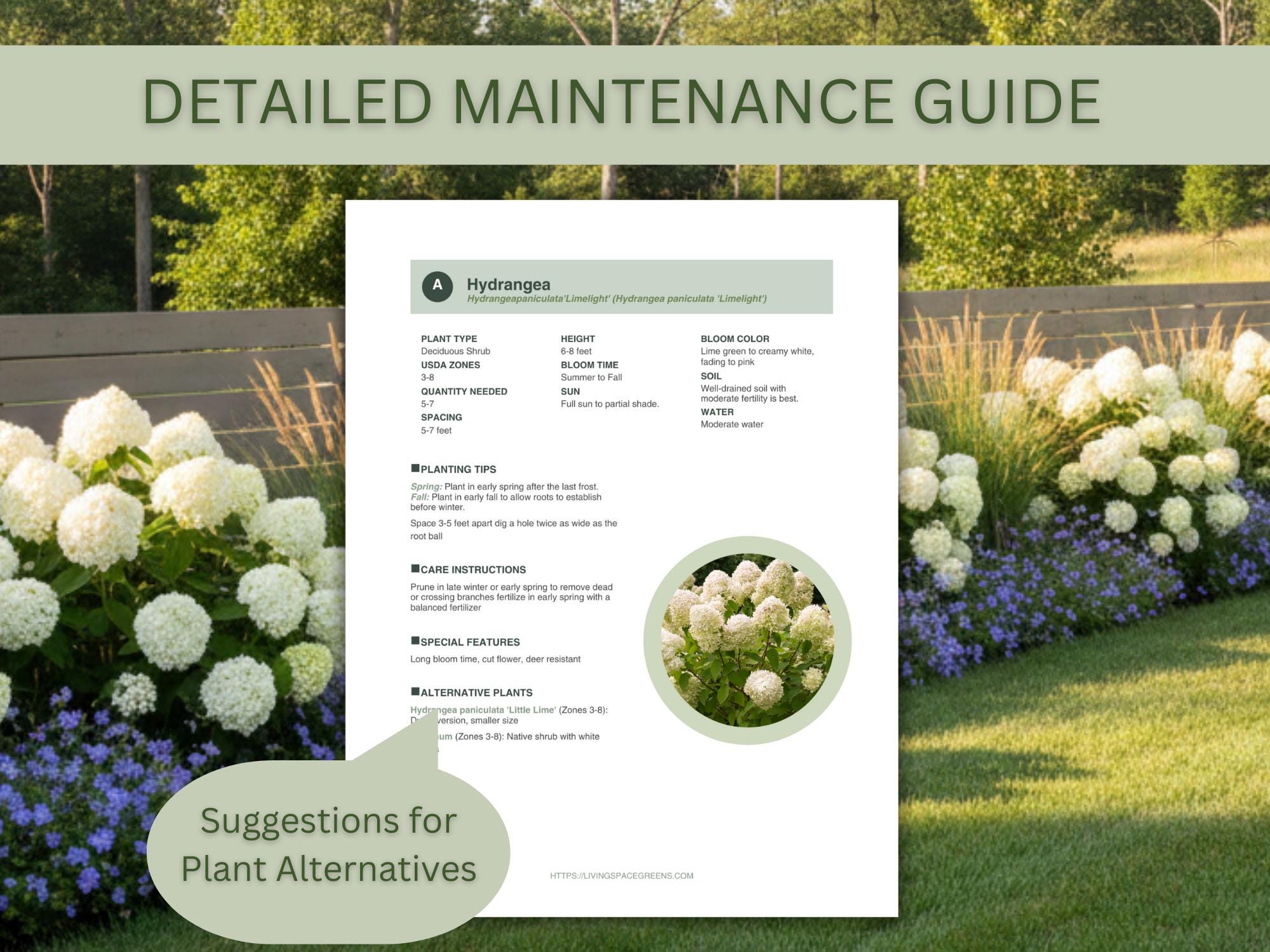 Hydrangea Fence Garden Plan: Full Sun, Zones 3-8 (PDF Download) - Etsy
