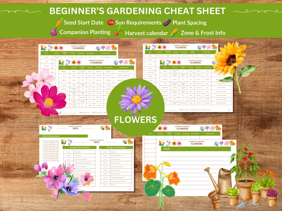 Flower Garden Seed Starting Cheat Sheet | Seed Sowing | Beginner's ...