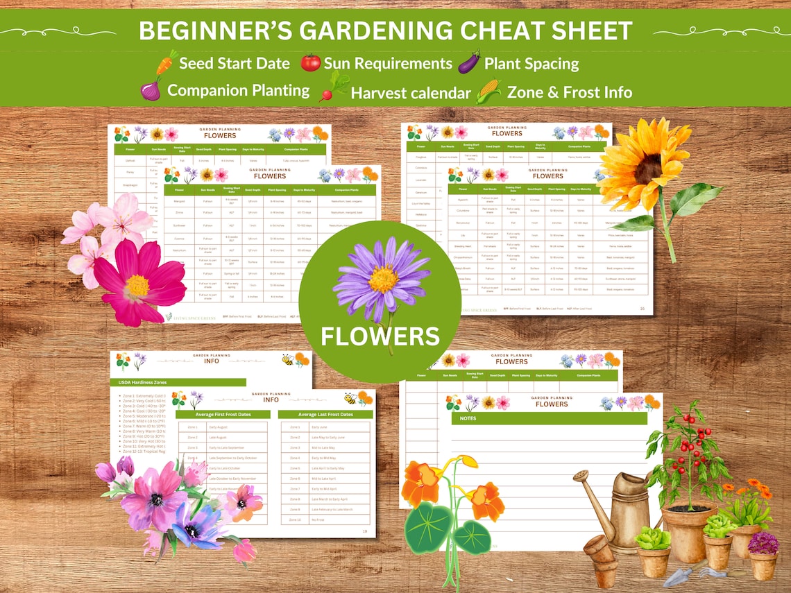 Flower Garden Seed Starting Cheat Sheet: Beginner's Guide (PDF) - Etsy
