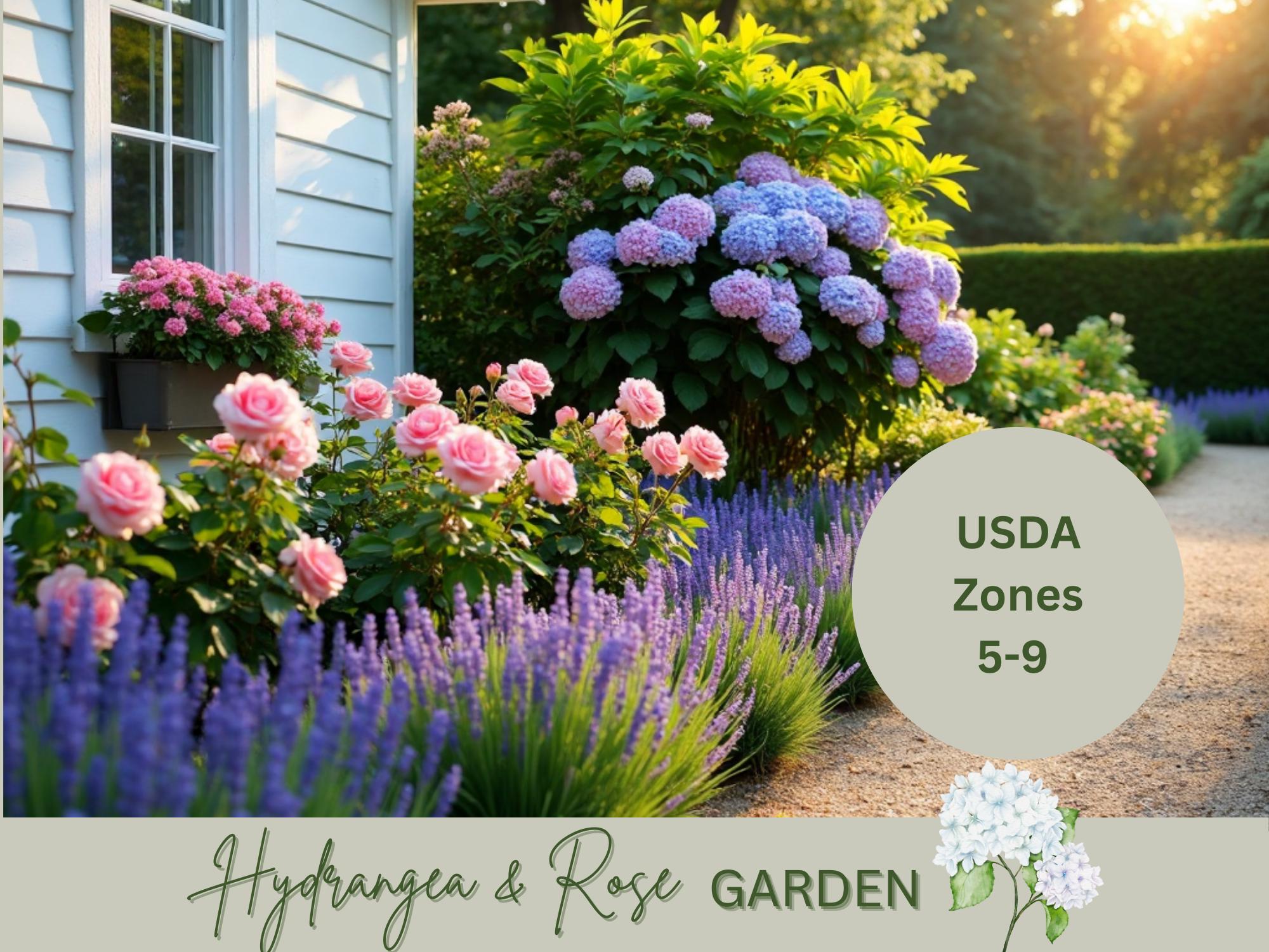 Hydrangea Landscape Cottage Garden Plan: Full Sun, Zones 5-9 - Etsy