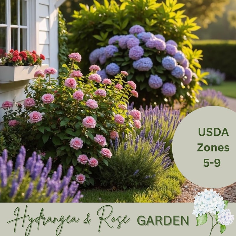 Zone 8 Front Yard Landscape - Etsy