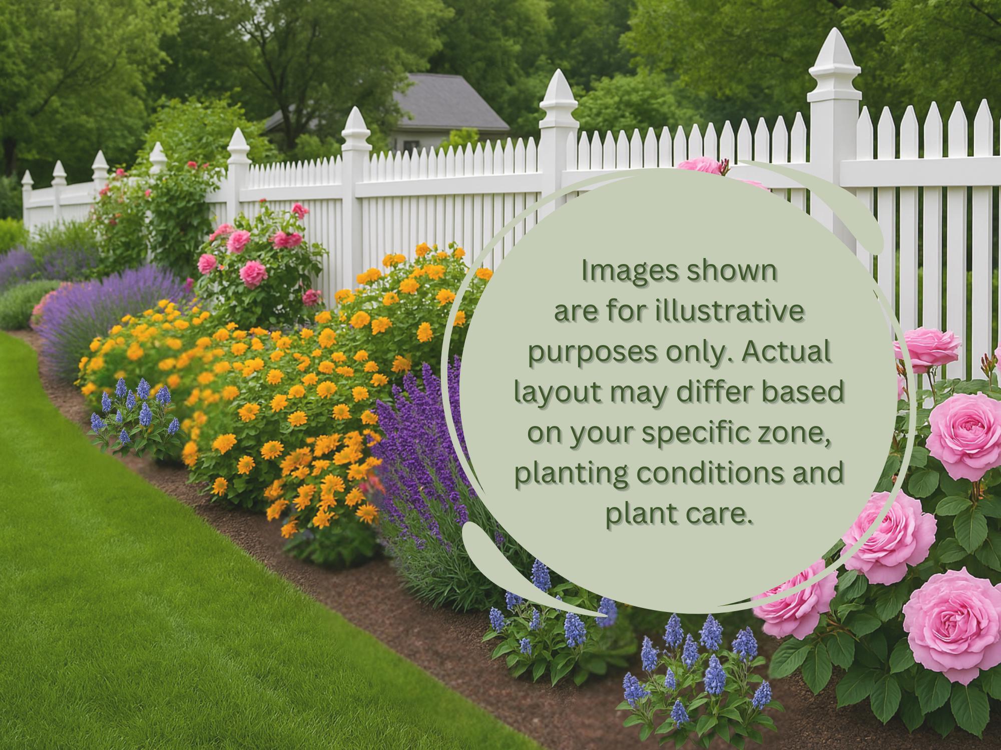 Cottage Garden Plan, Pollinator-friendly Landscape Design (zones 5-9 ...