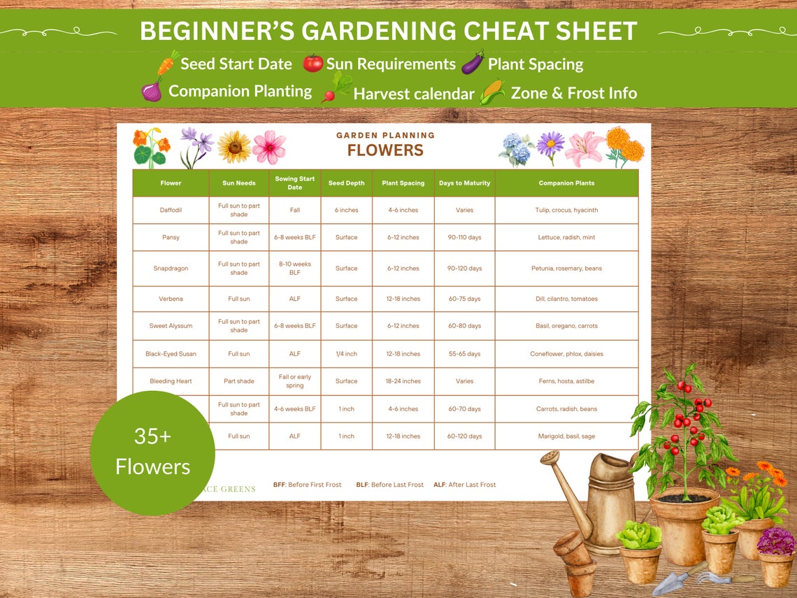 Flower Garden Seed Starting Cheat Sheet: Beginner's Guide (PDF) - Etsy