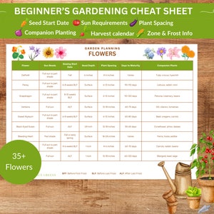 Flower Garden Seed Starting Cheat Sheet: Beginner's Guide (PDF) - Etsy