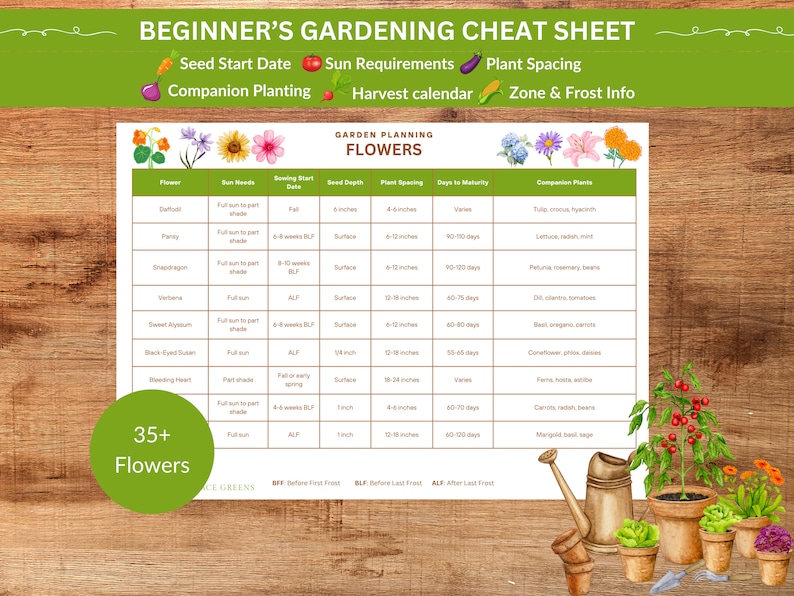 Flower Garden Seed Starting Cheat Sheet: Beginner's Guide (PDF) - Etsy