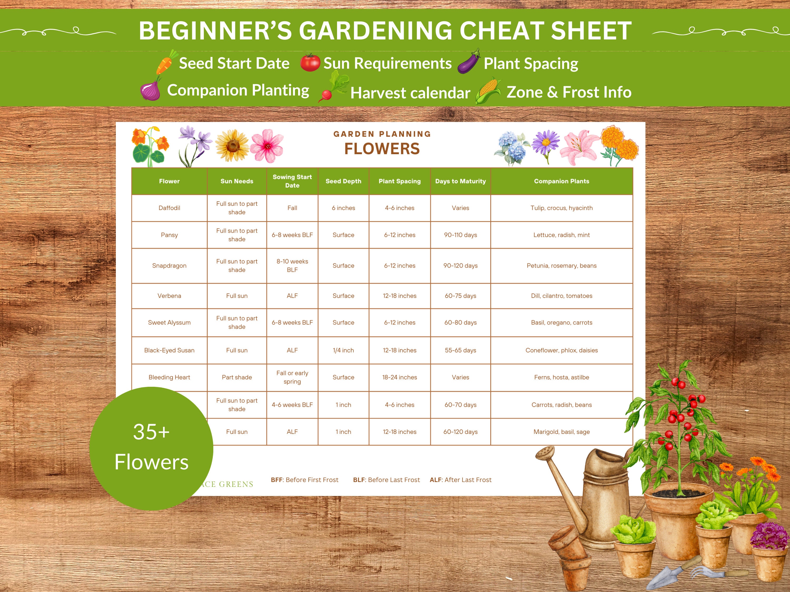 Flower Garden Seed Starting Cheat Sheet: Beginner's Guide (PDF) - Etsy