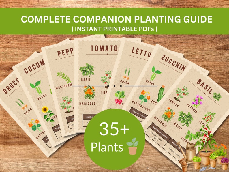 Companion Planting Guide: Square Foot Garden Planner (printable PDF) - Etsy