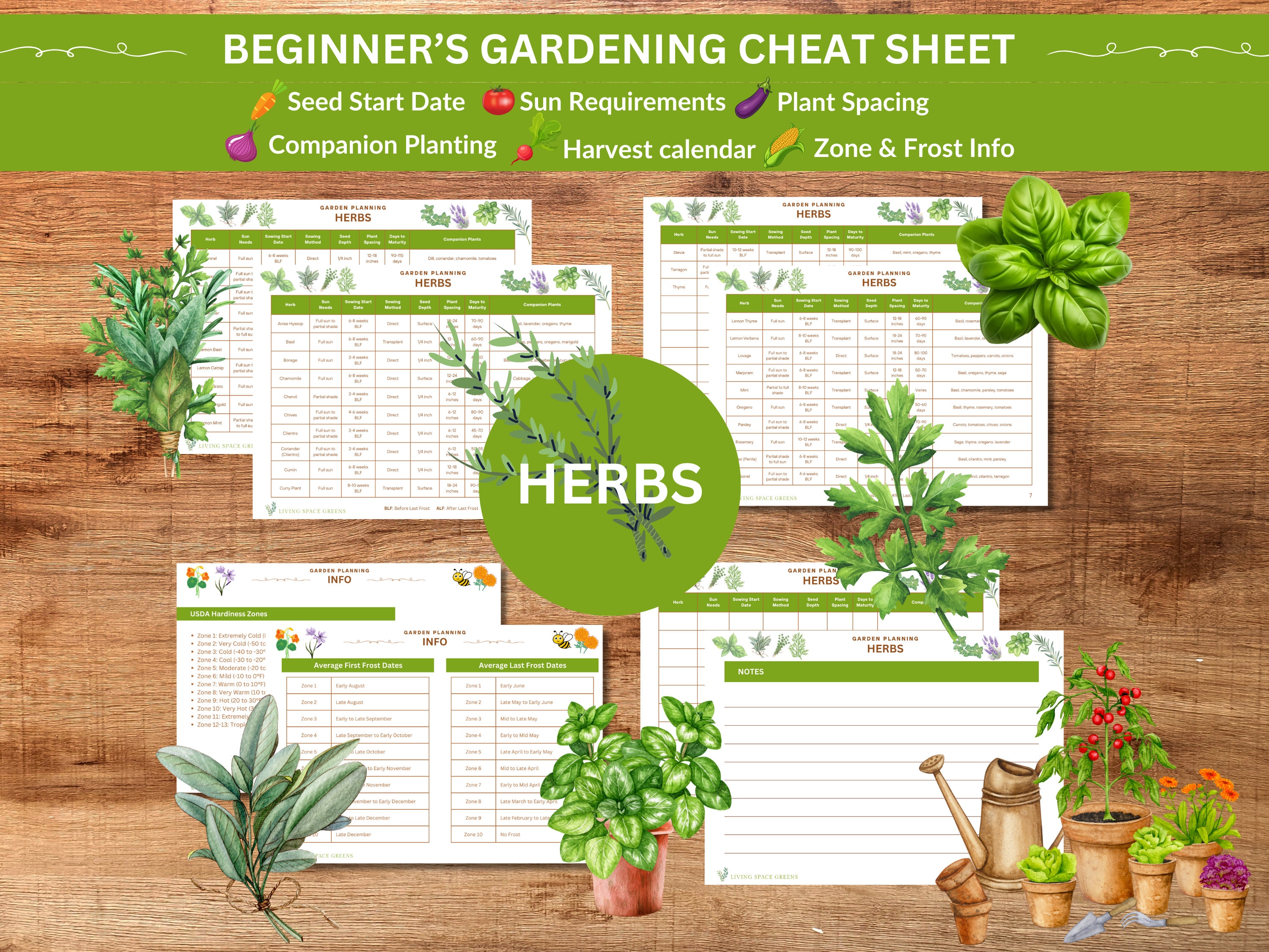 Herb Garden Seed Starting Cheat Sheet: Beginner's Guide (PDF) - Etsy