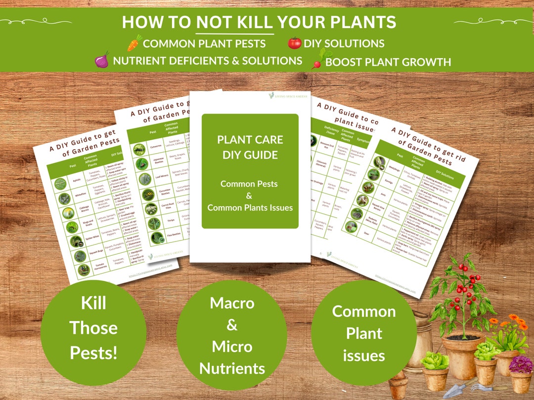 Plant Disease and Pest Identification Plant Care Vegetable Garden DIY ...