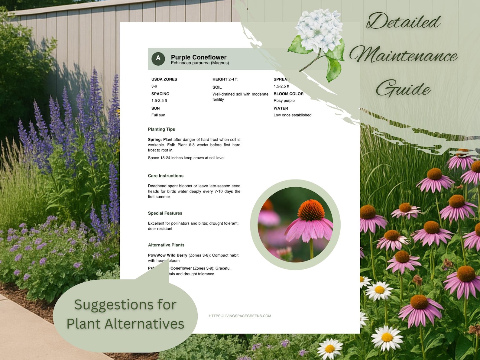 Native Prairie Garden Design Plan | Pollinator Friendly Landscape ...
