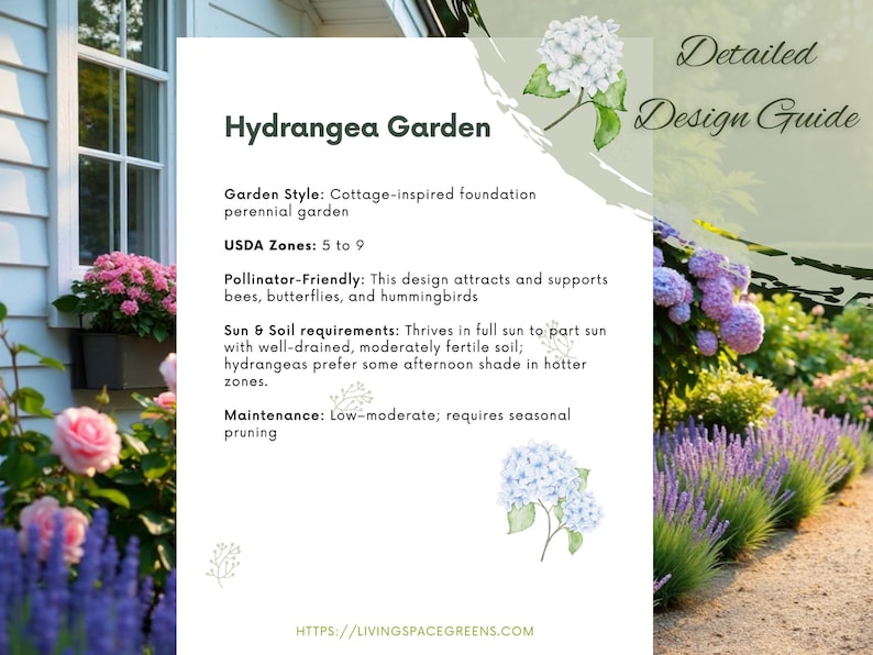 Hydrangea Landscape Cottage Garden Plan: Full Sun, Zones 5-9 - Etsy