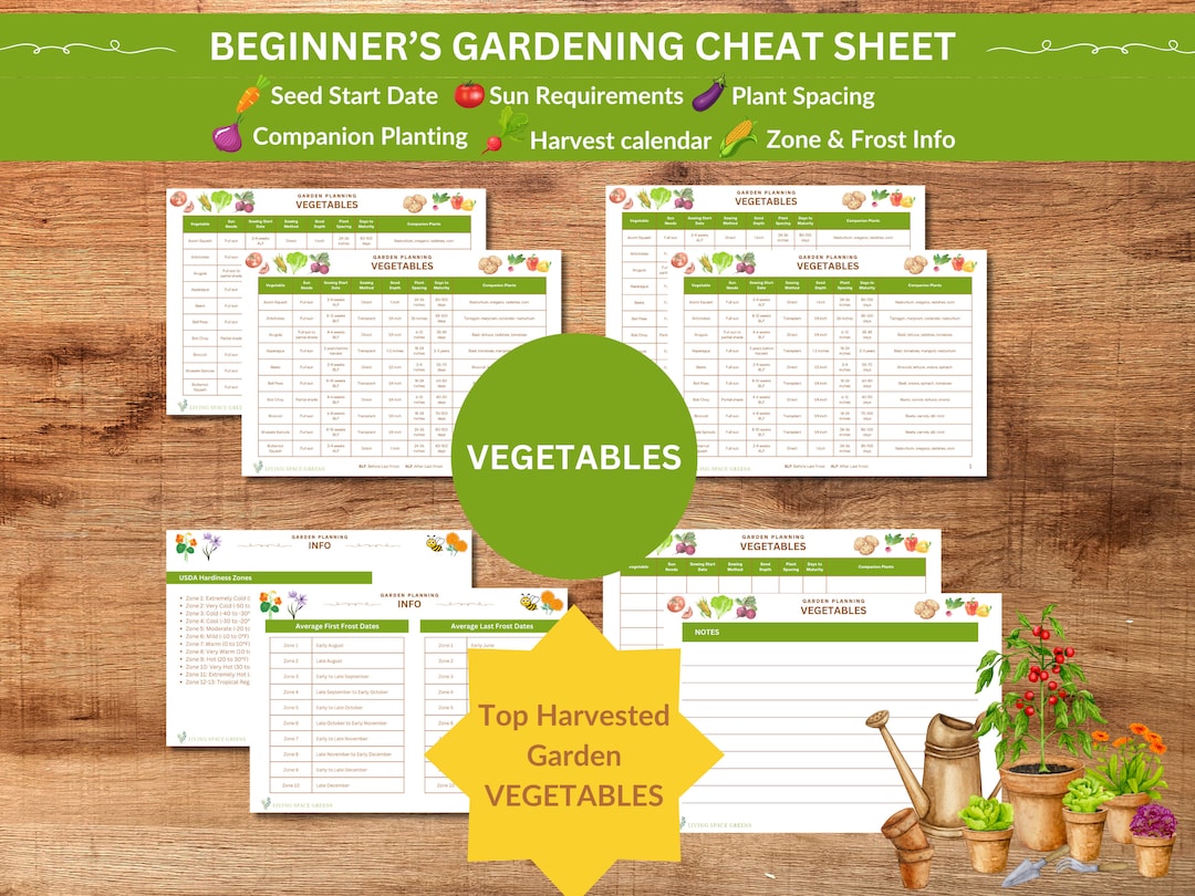 Vegetable Garden Seed Starting Cheat Sheet: Beginner's Guide (PDF) - Etsy