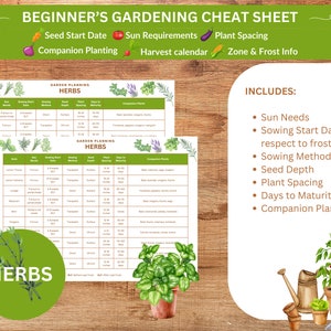 Herb Garden Seed Starting Cheat Sheet: Beginner's Guide (PDF) - Etsy