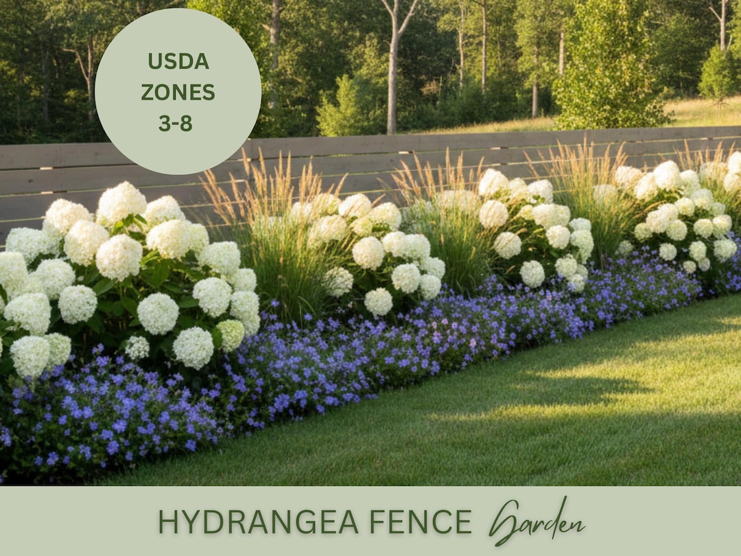 Hydrangea Fence Garden Plan: Full Sun, Zones 3-8 (PDF Download) - Etsy