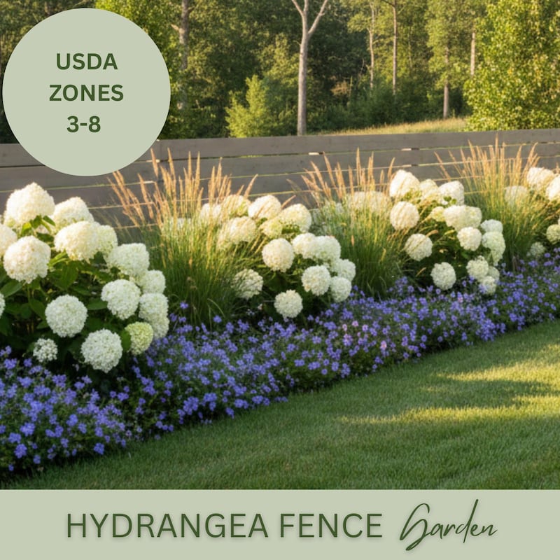 Zone 8 Front Yard Landscape - Etsy