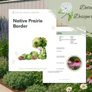 Native Prairie Garden Design Plan | Pollinator Friendly Landscape ...