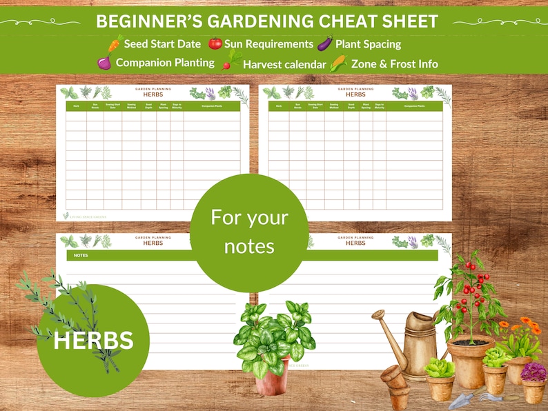 Herb Garden Seed Starting Cheat Sheet: Beginner's Guide (PDF) - Etsy