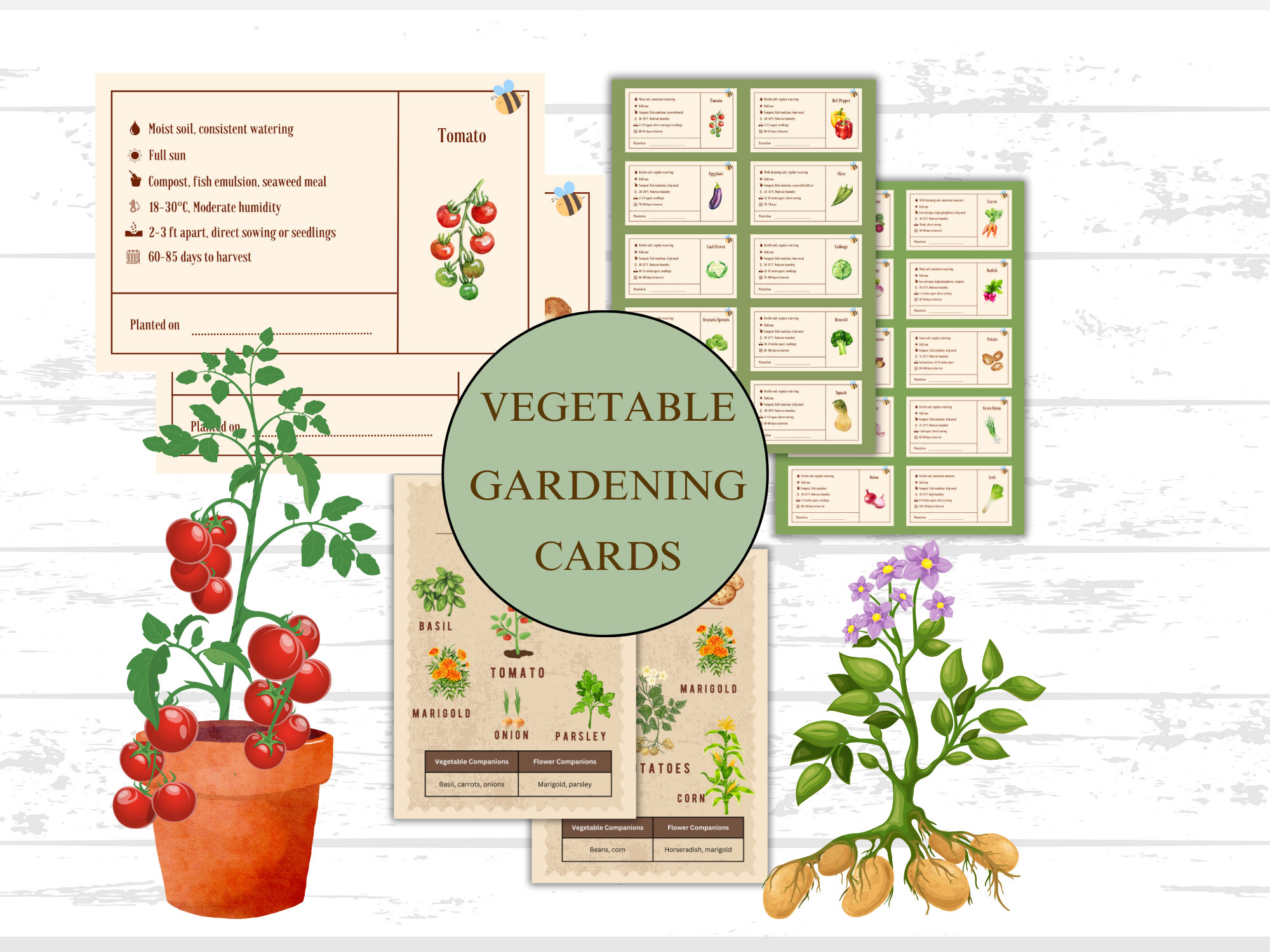 Vegetable Plant Cards Planting Information sun, Spacing, Soil ...