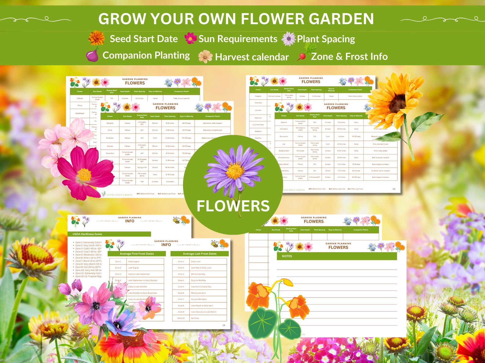 Flower Garden Seed Starting Cheat Sheet: Beginner's Guide (PDF) - Etsy