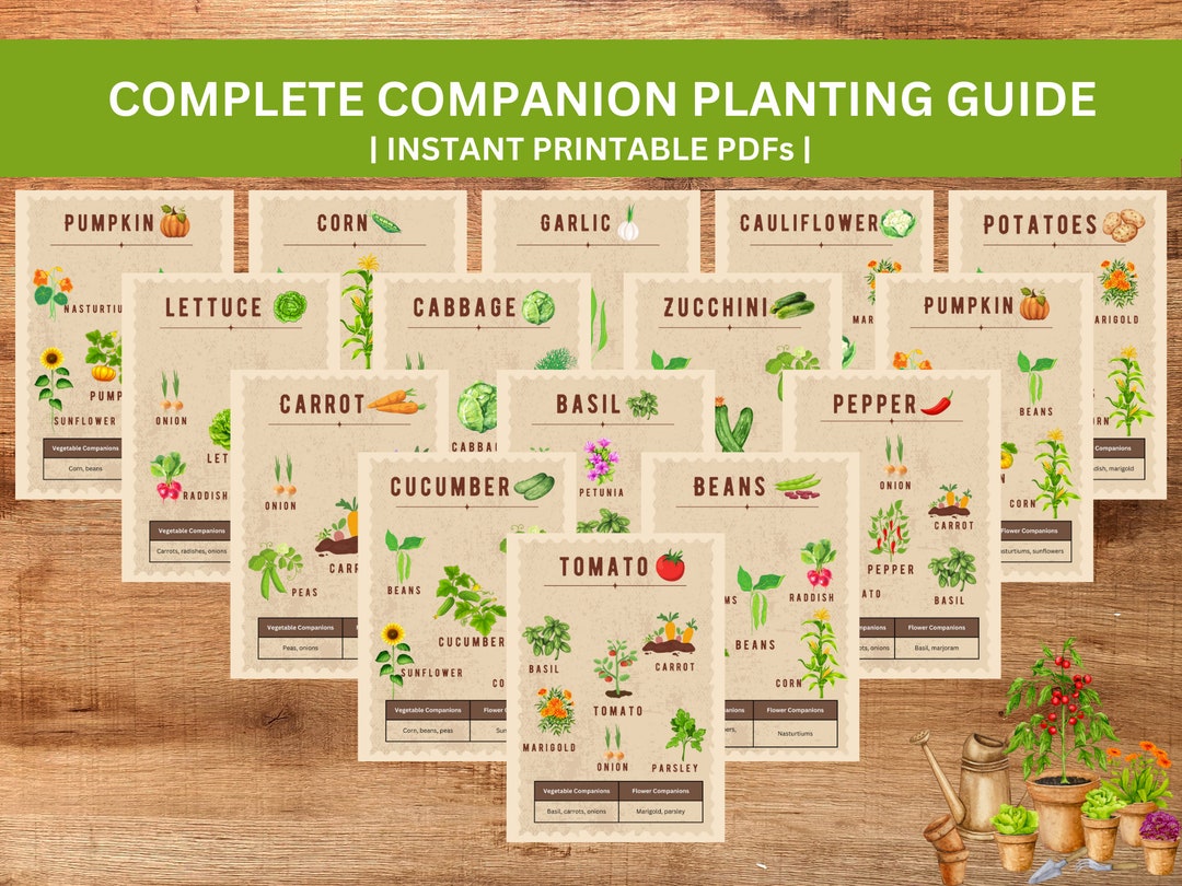 Companion Planting Guide: Square Foot Garden Planner (printable PDF) - Etsy