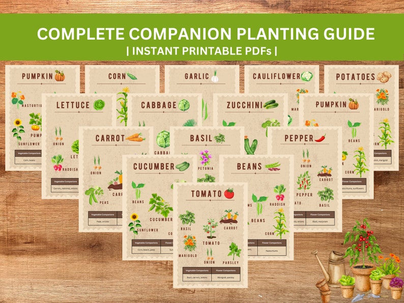 Companion Planting Guide: Square Foot Garden Planner (printable PDF) - Etsy