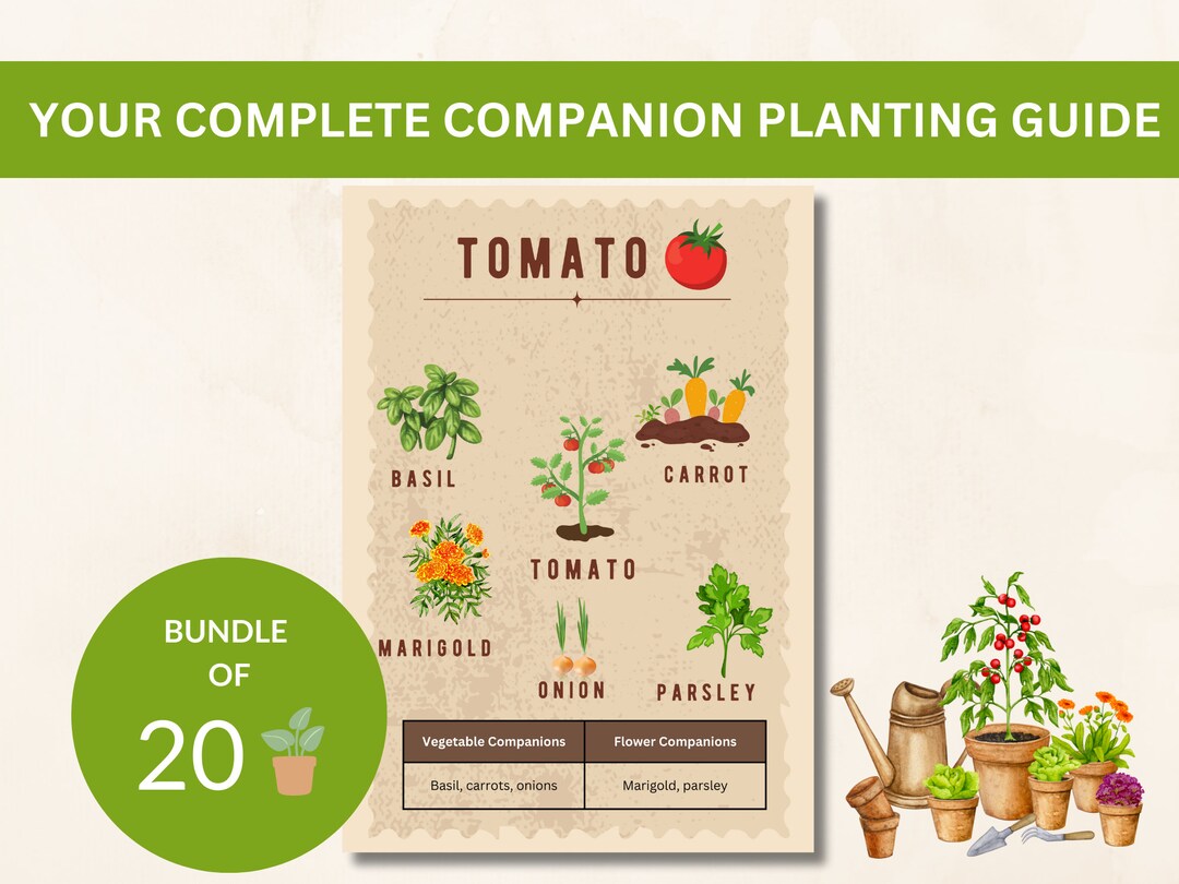 Companion Planting Guide Square Foot Planner Permaculture - Etsy