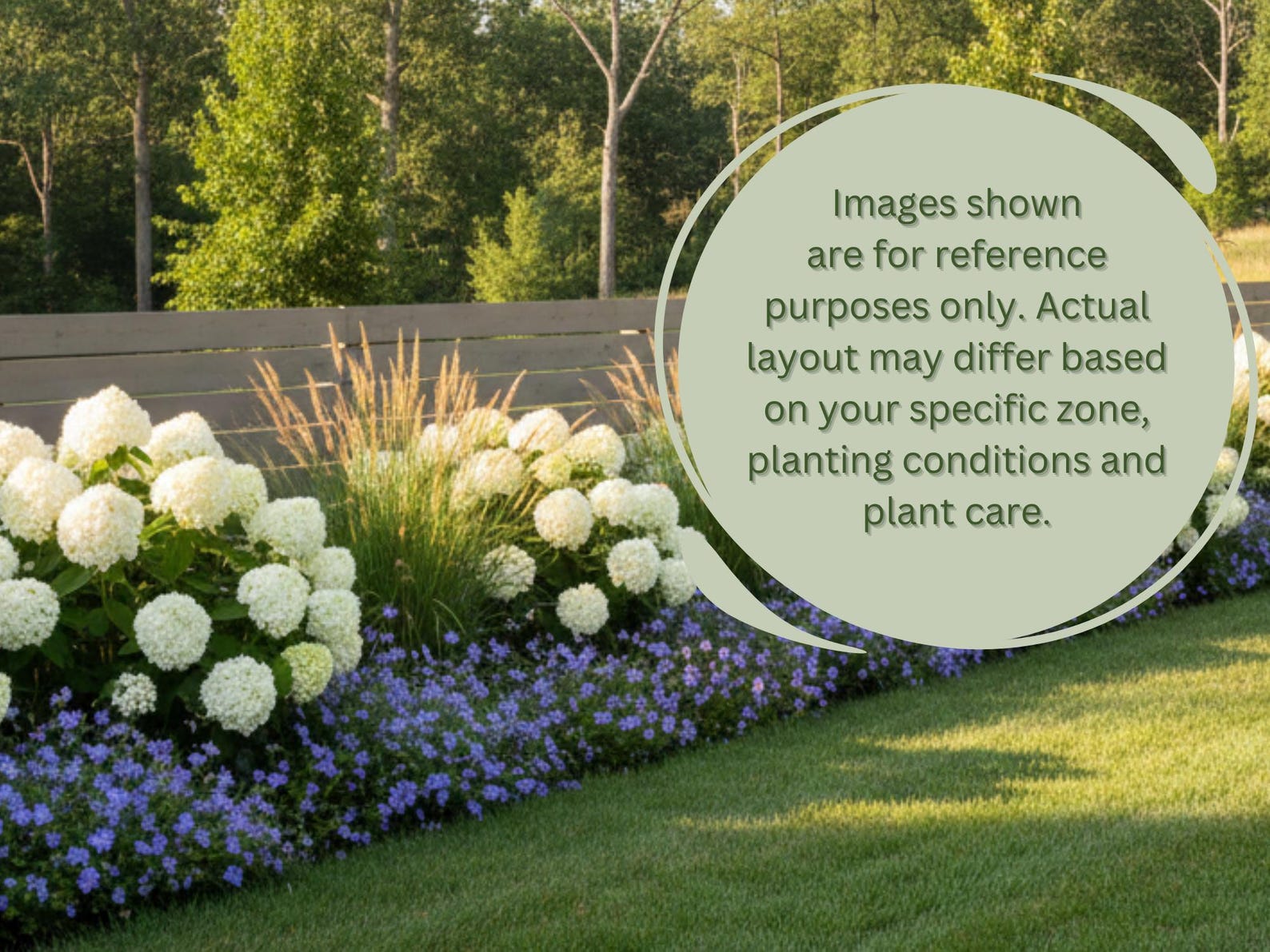 Hydrangea Fence Garden Plan: Full Sun, Zones 3-8 (PDF Download) - Etsy