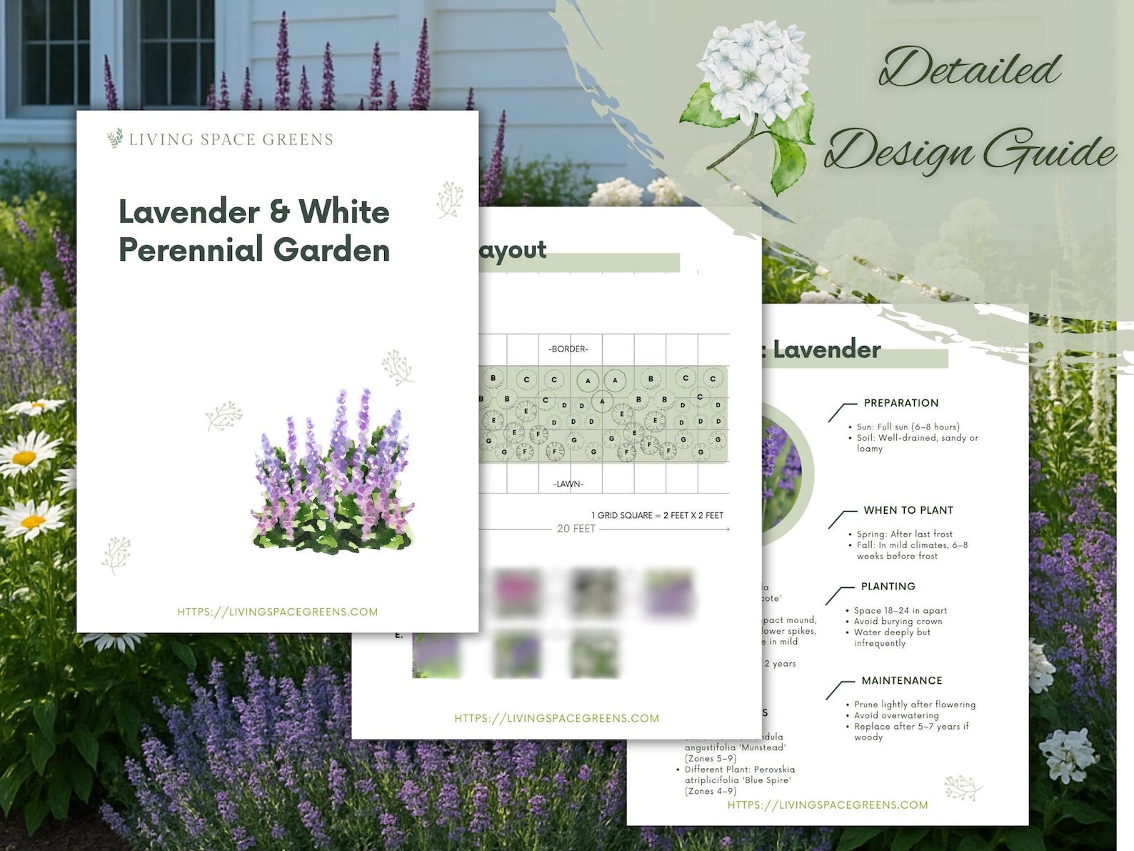 Full Sun Cottage Garden Design Landscape Design Plan: Lavender, Purple ...