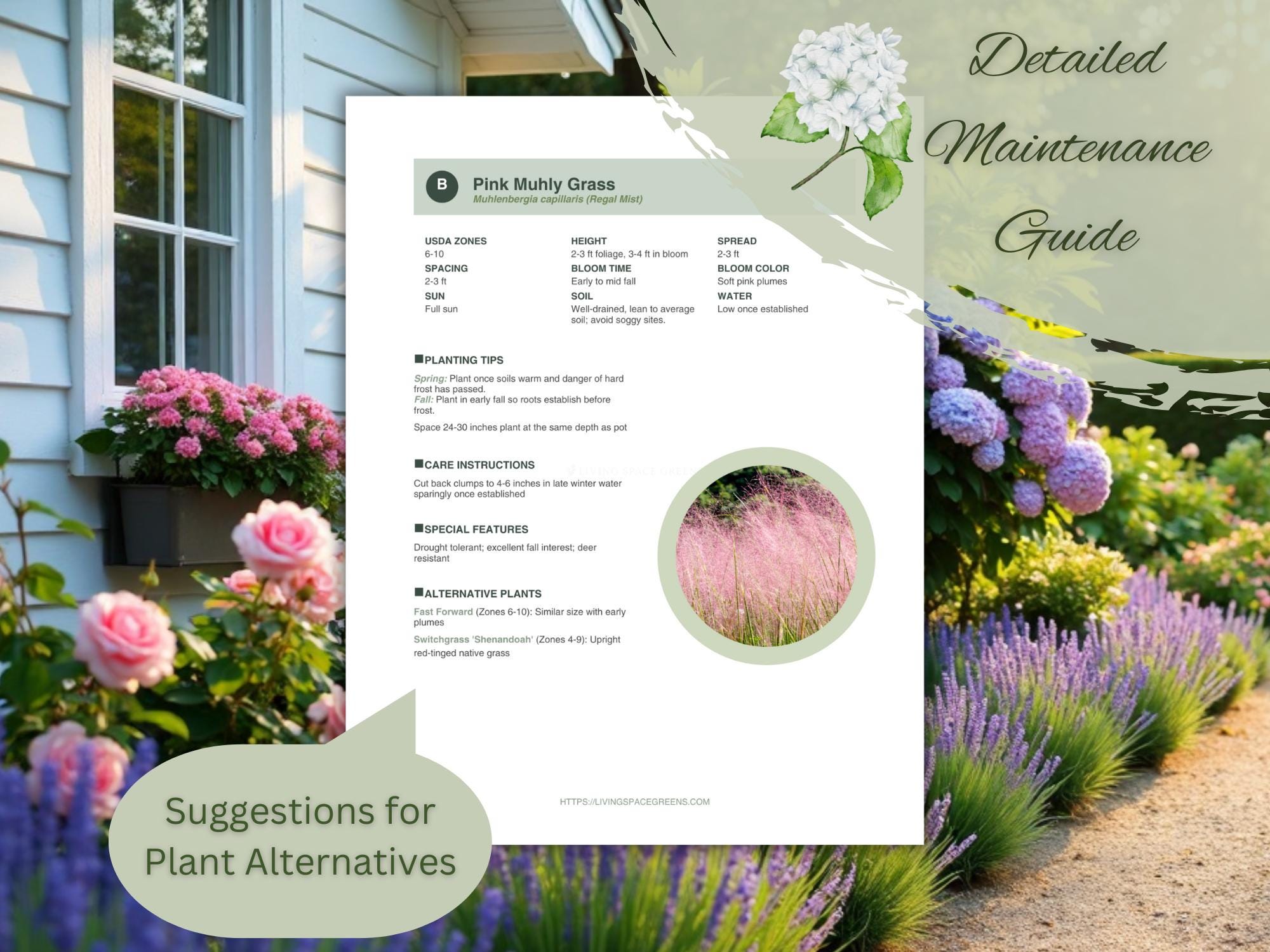 Cottage Garden Design Landscape Design Plan: Full Sun, Pollinator ...