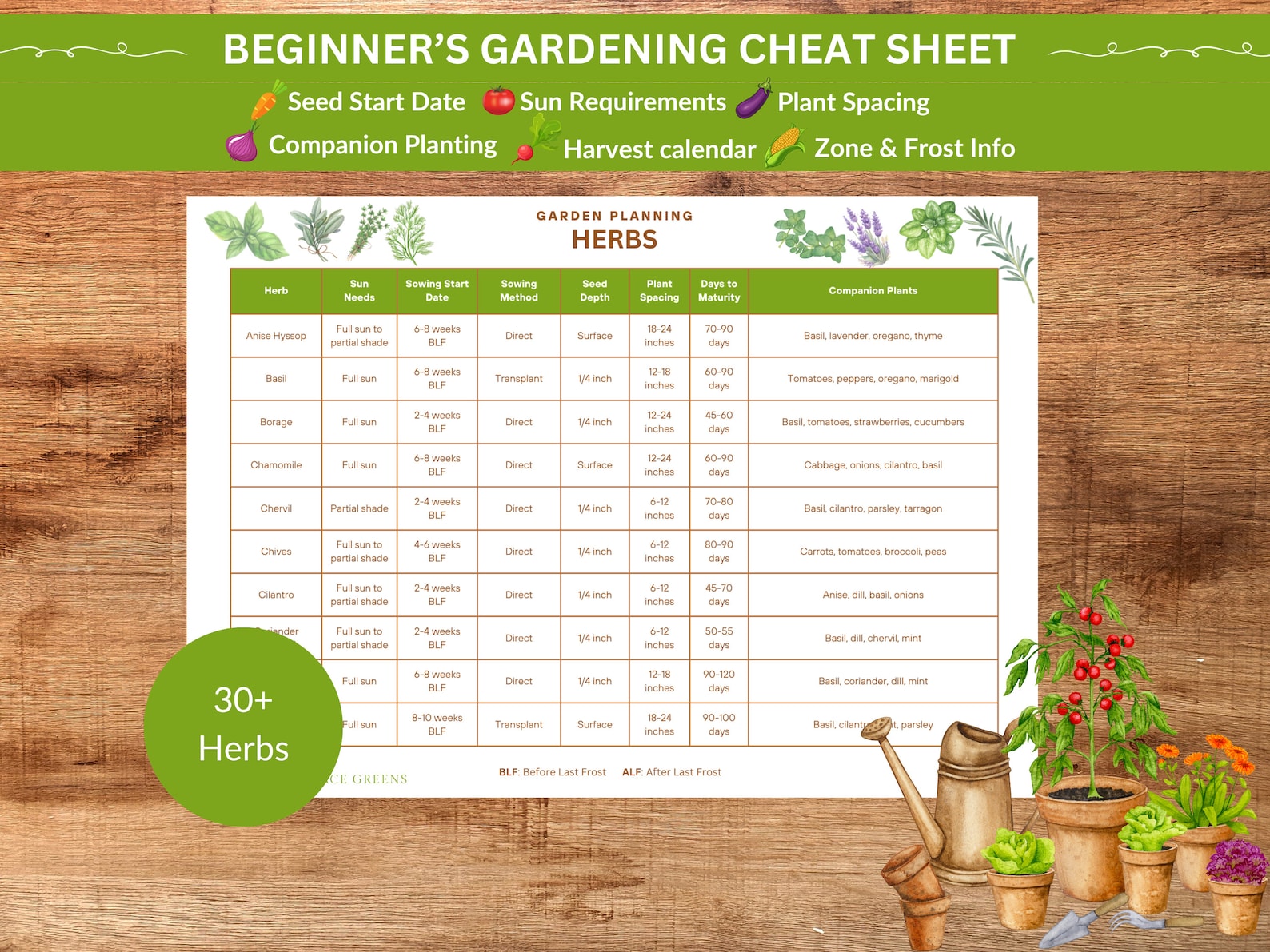 Herb Garden Seed Starting Cheat Sheet: Beginner's Guide (PDF) - Etsy