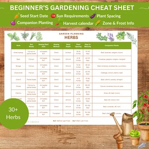 Herb Garden Seed Starting Cheat Sheet: Beginner's Guide (PDF) - Etsy