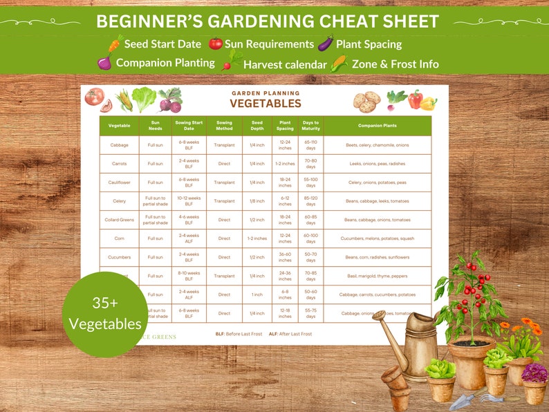 Vegetable Garden Seed Starting Cheat Sheet: Beginner's Guide (PDF) - Etsy