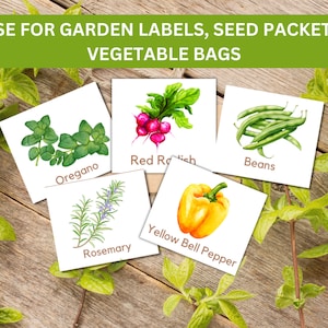 Plant Labels, Garden Labels, Plant Tags | Vegetable Labels Printable ...
