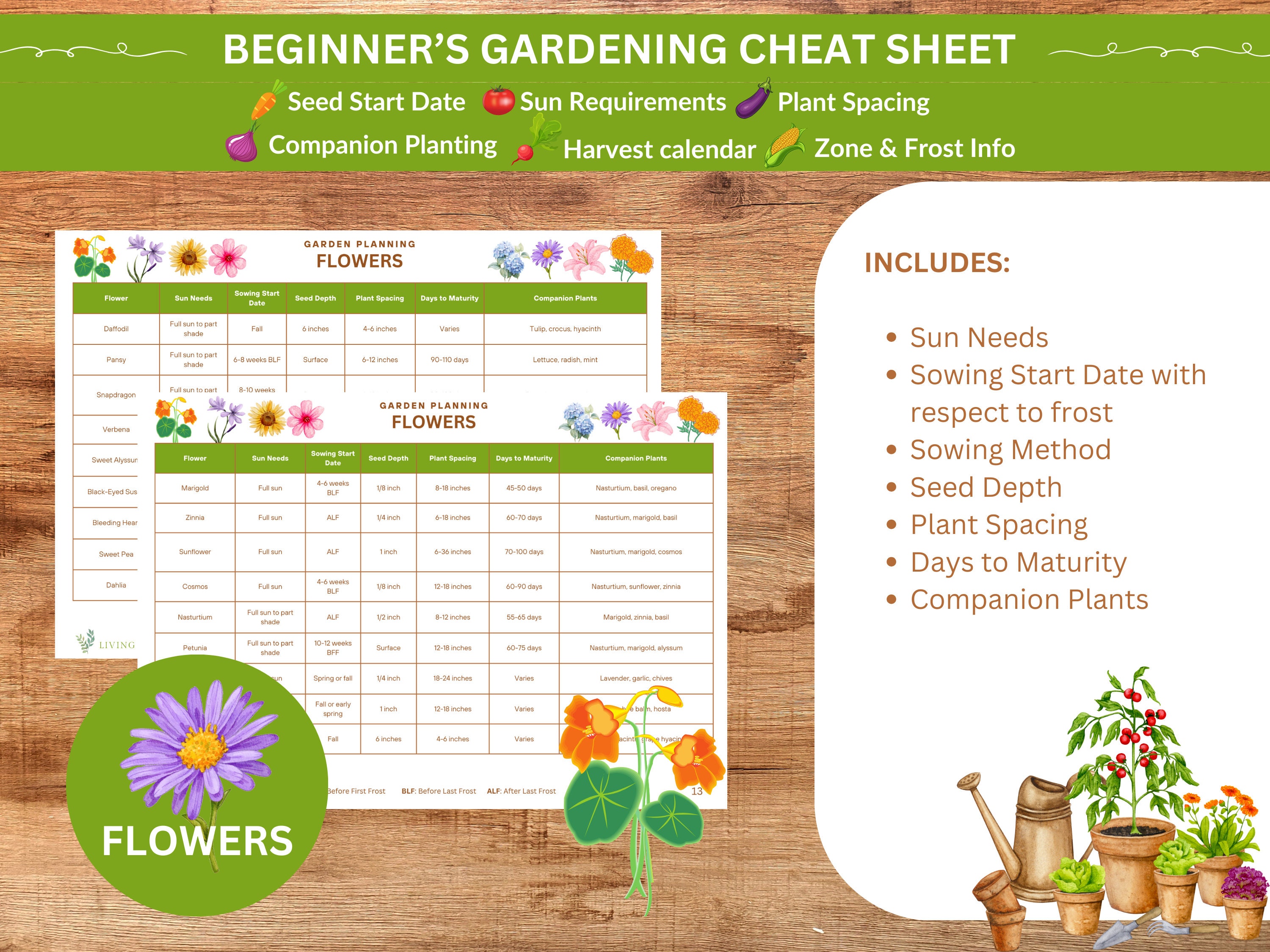 Flower Garden Seed Starting Cheat Sheet: Beginner's Guide (PDF) - Etsy