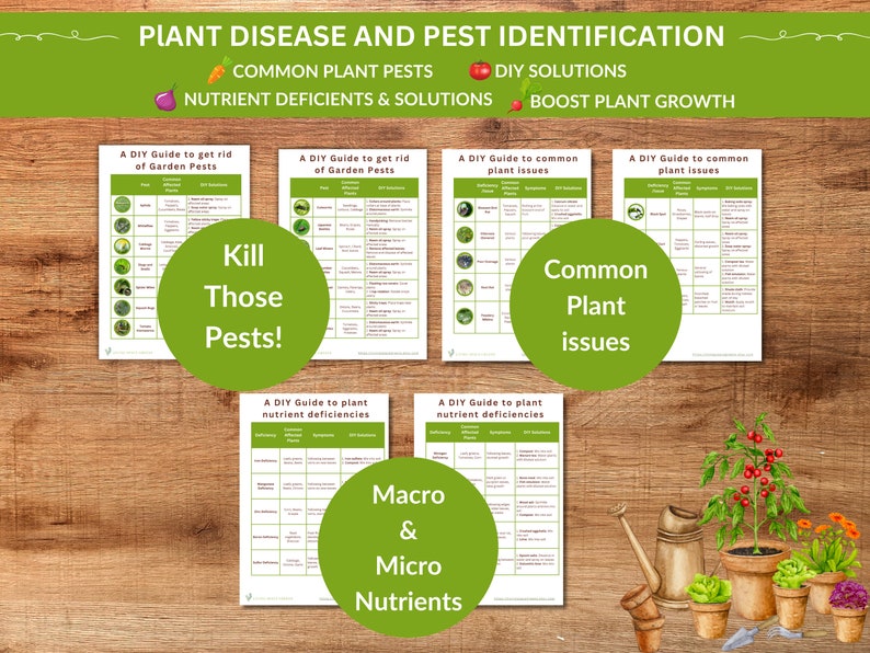 Vegetable Garden Pest & Disease ID Guide: DIY Organic Solutions ...
