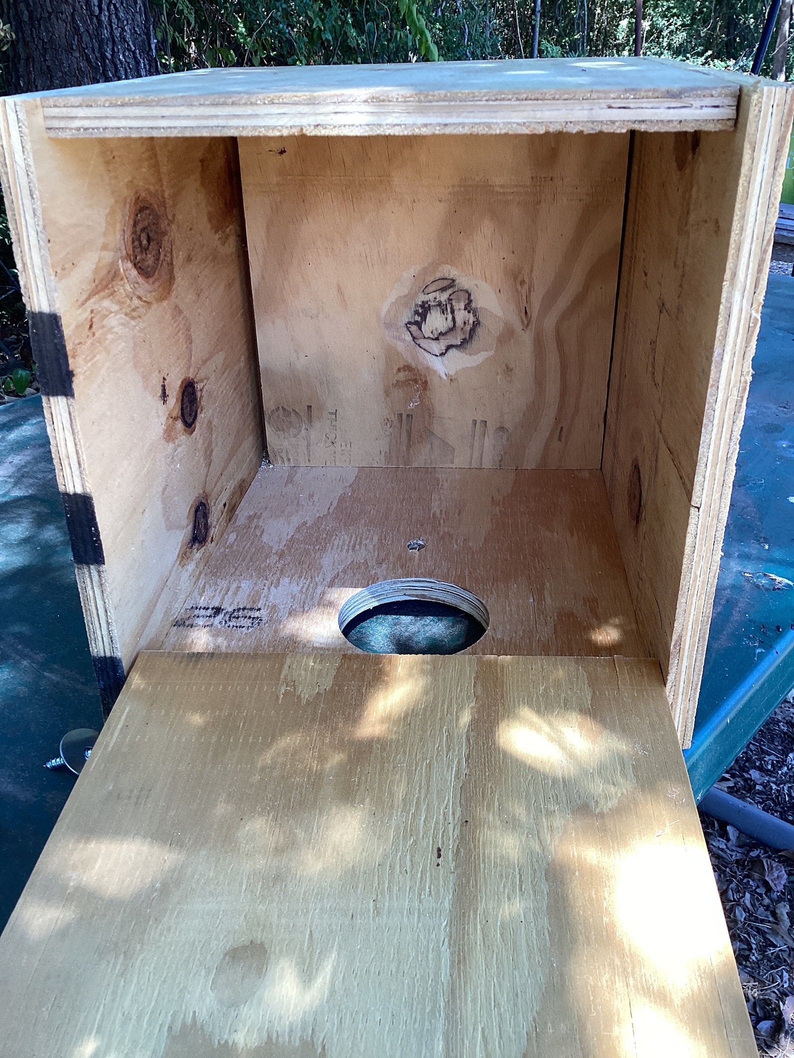 Cockatiel Nest Box - Etsy