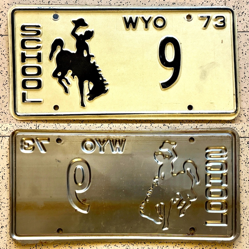 Vintage WYOMING License Plates – ALL ORIGINAL Antique Auto Tags - Etsy