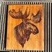 Laser Engraved Moose Head - Etsy