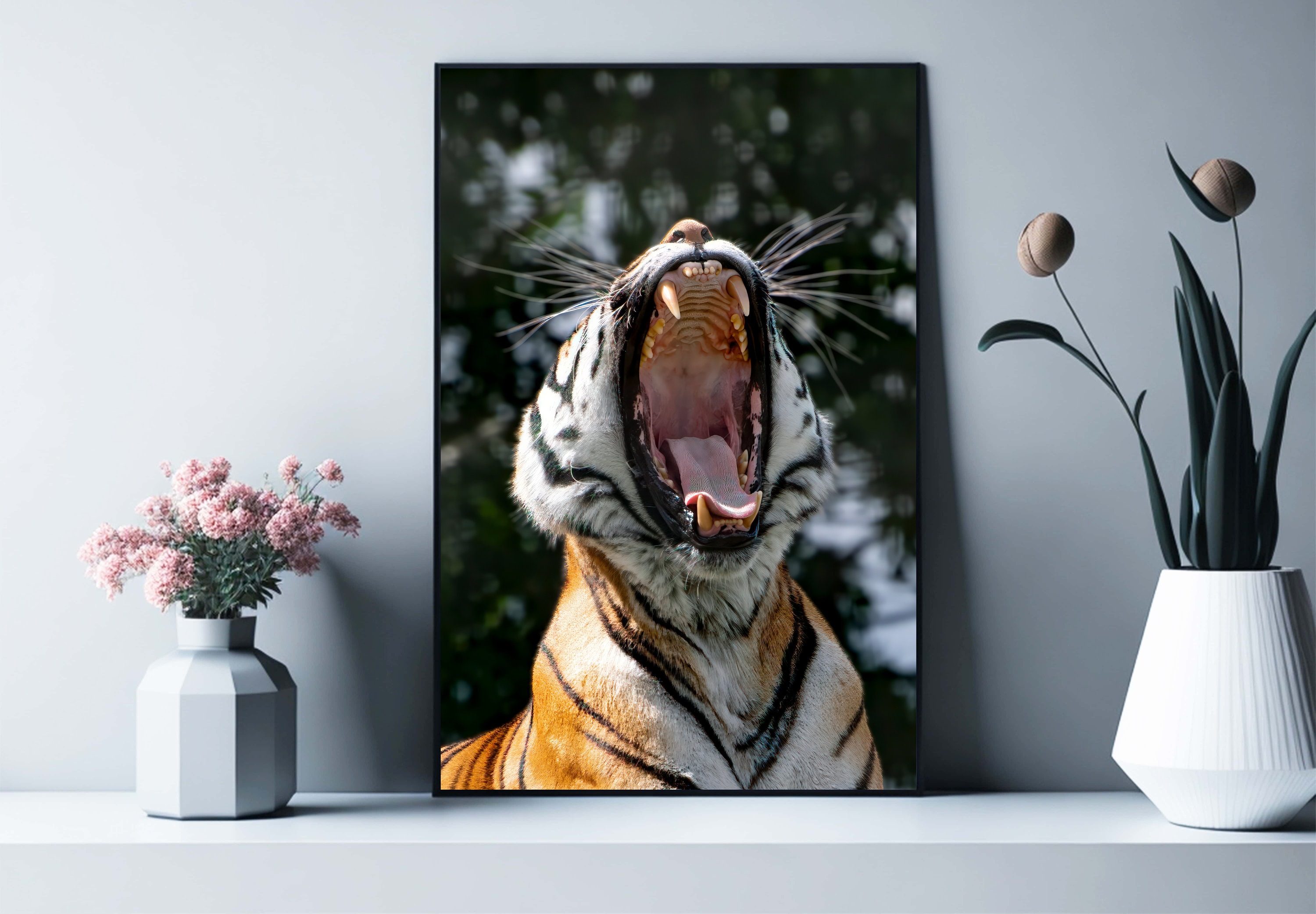 Majestic Tiger Roaring Showing Fangs Digital Image, Wildlife ...