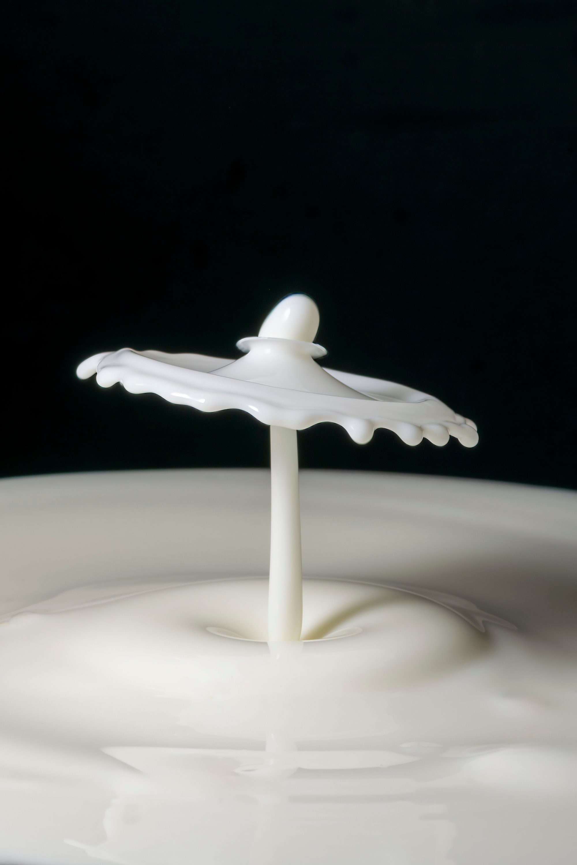 Milk Drop Splash Sombrero Digital Download, Abstract Art, Black ...