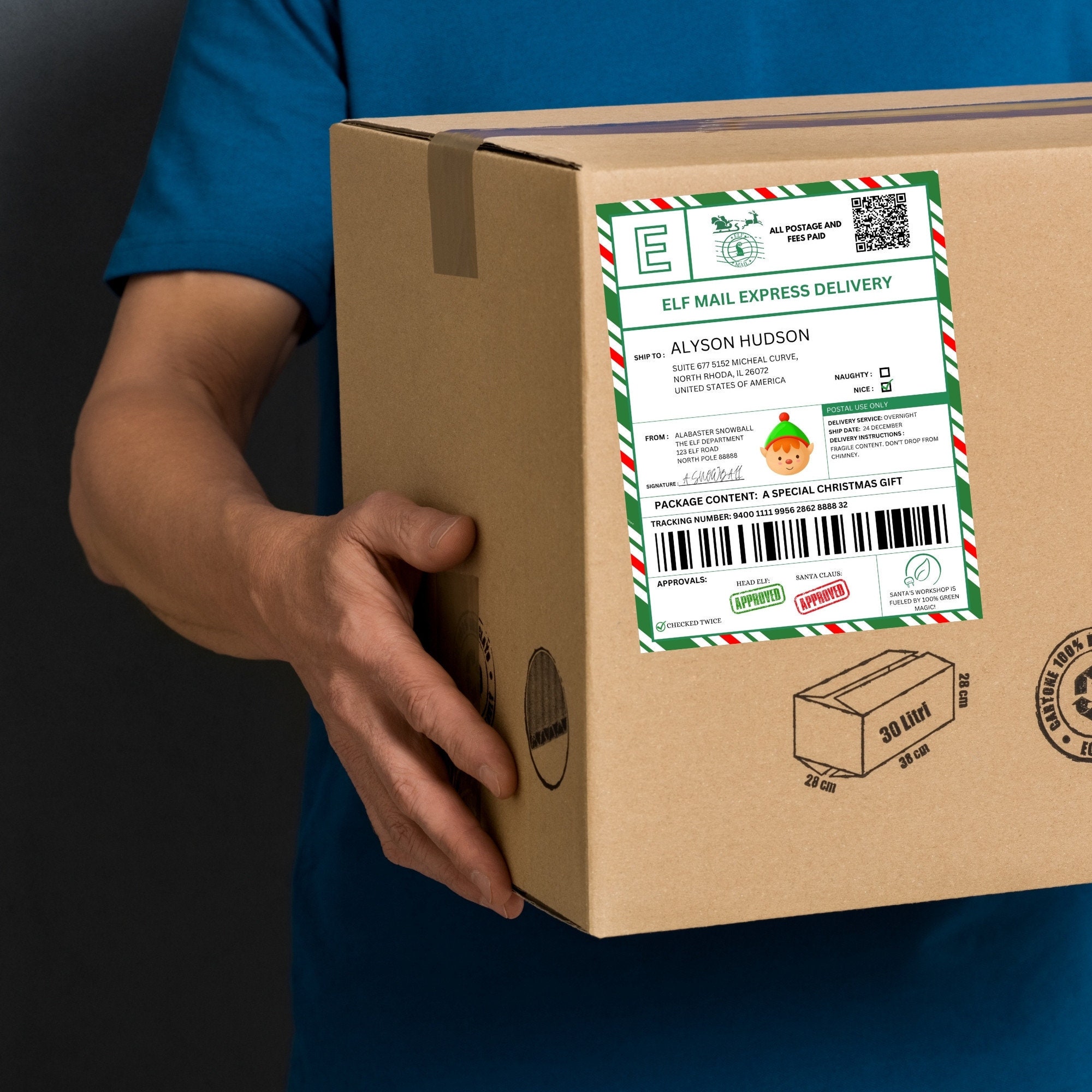 Editable Elf Mail Shipping Label for Kids, Christmas Shipping Sticker ...